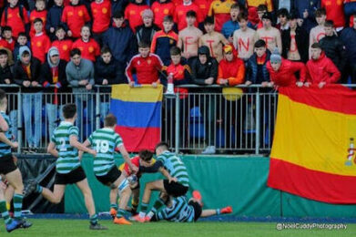 Rugby – St. Fintan's High School